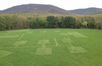 Creative Works Farm – Skeeter's Maze Adventure